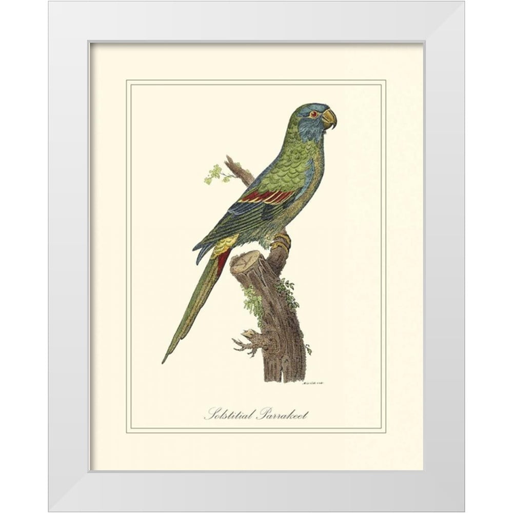 Edwards, George 12x14 White Modern Wood Framed Museum Art Print Titled ...