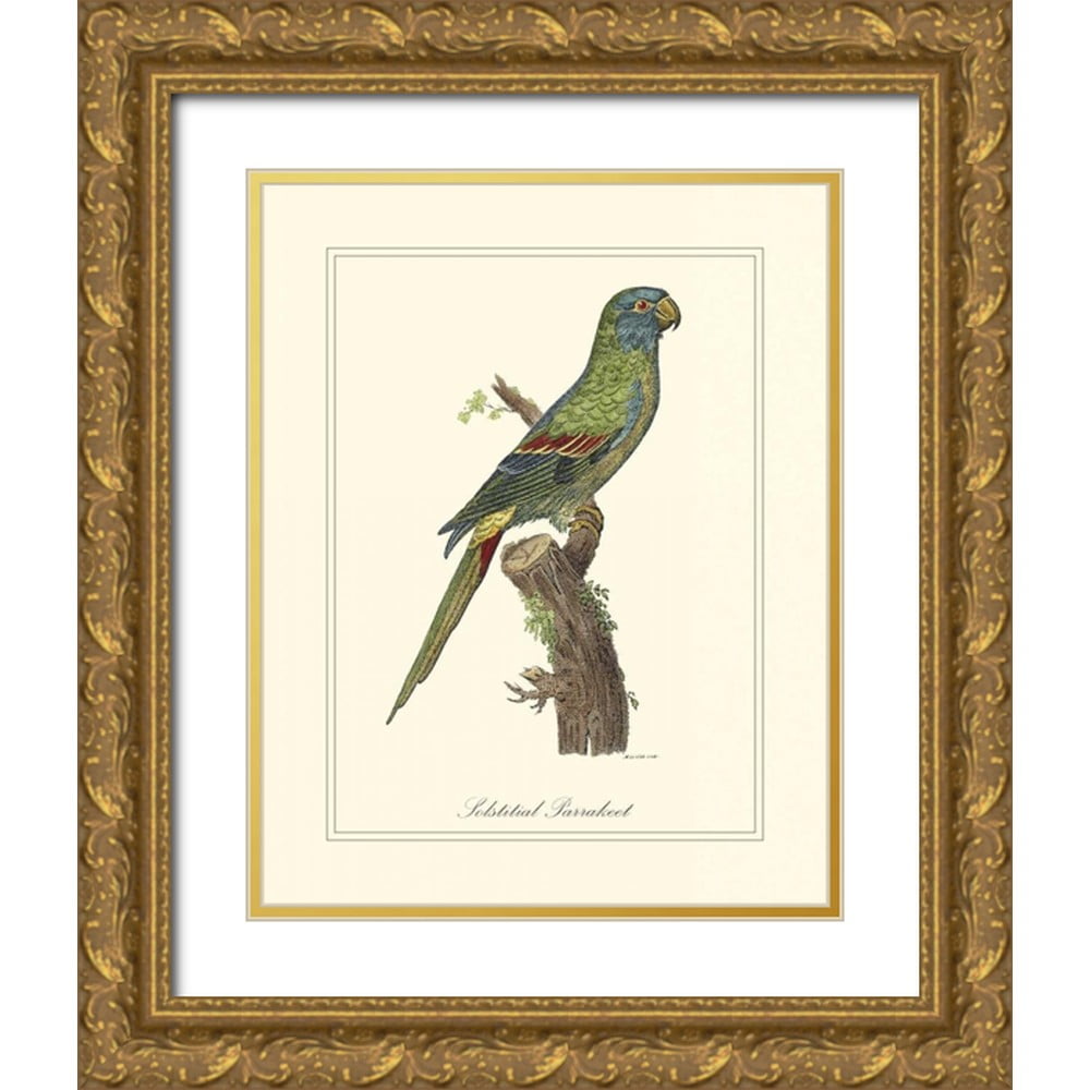 Edwards, George 15x18 Gold Ornate Wood Framed with Double Matting ...