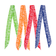 Motique Accessories Extra Large Paisley Bandana 27x27 inch for Adult ...