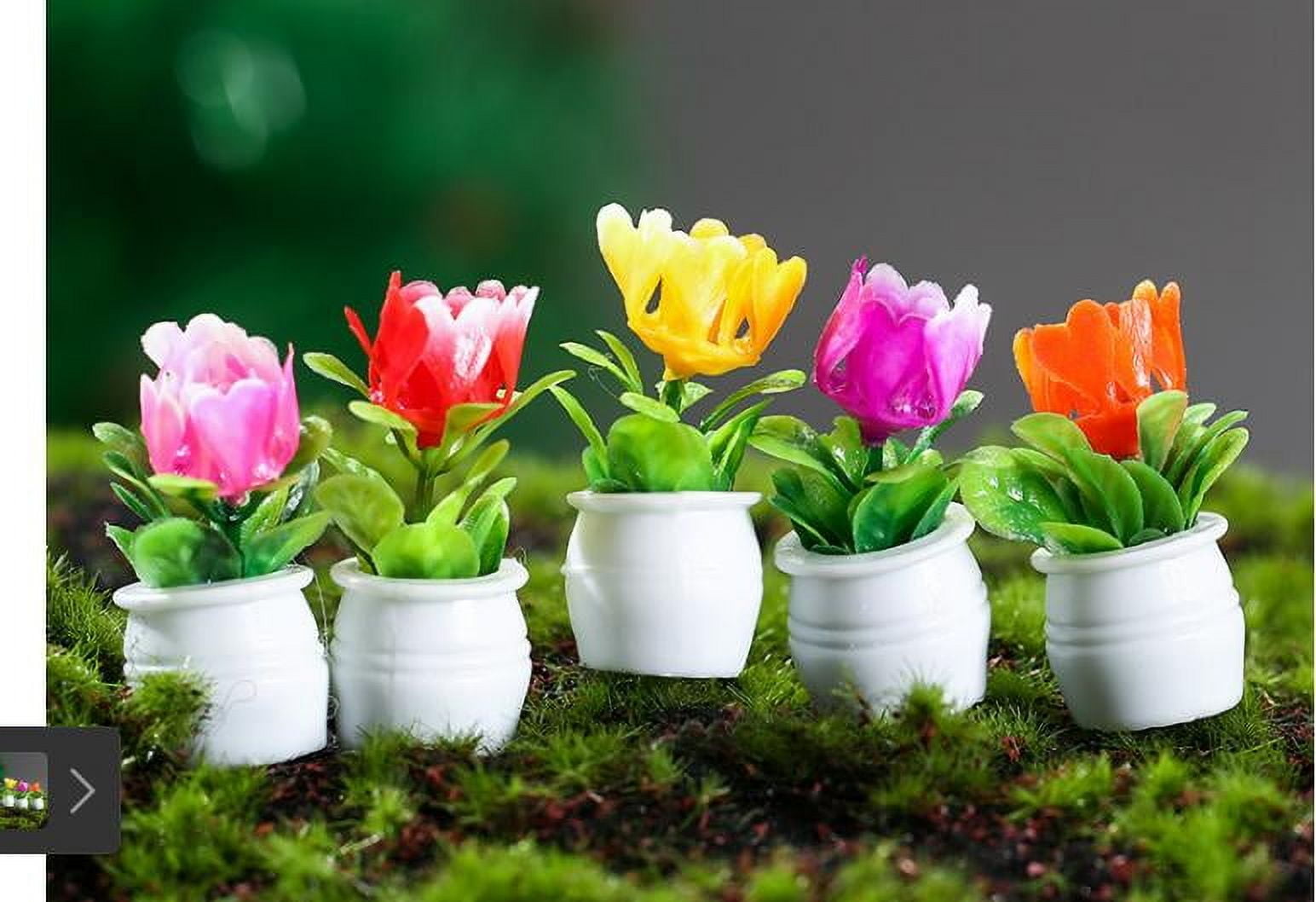 Eease 5pcs Fairy Garden and Landscape Decor Miniature Potted Plants ...