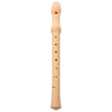 Lyons Plastic Soprano Recorder with Fingering Chart, Musical Instrument ...