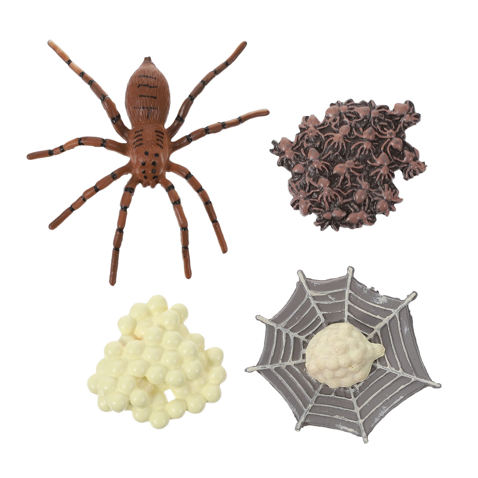WRITWAA Realistic Spider Growth Model Assorted Colors Ideal Party Decor ...