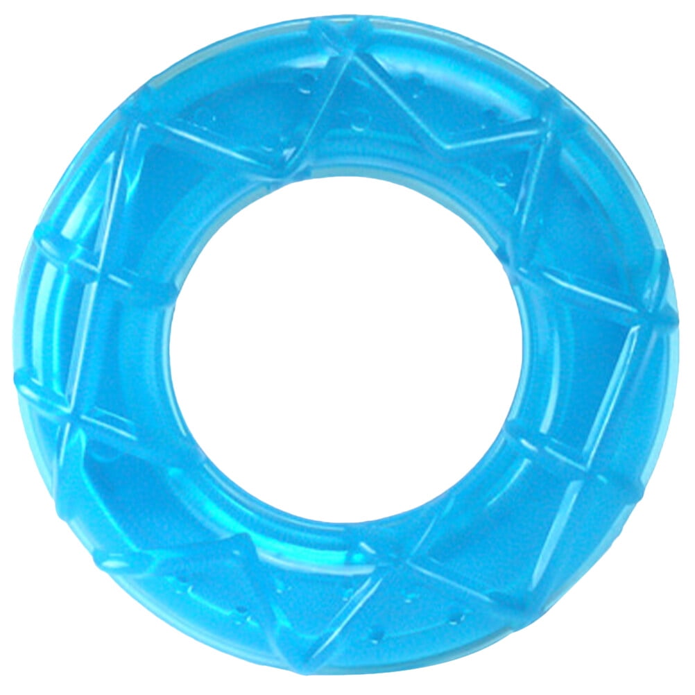 Eease Freezable Puppy Teething Chew Toy, Sky-Blue TPR Ring, Stress ...