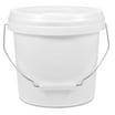 1 Gallon Clear Plastic Bucket with Lid & Handle - BPA Free, Food Grade ...