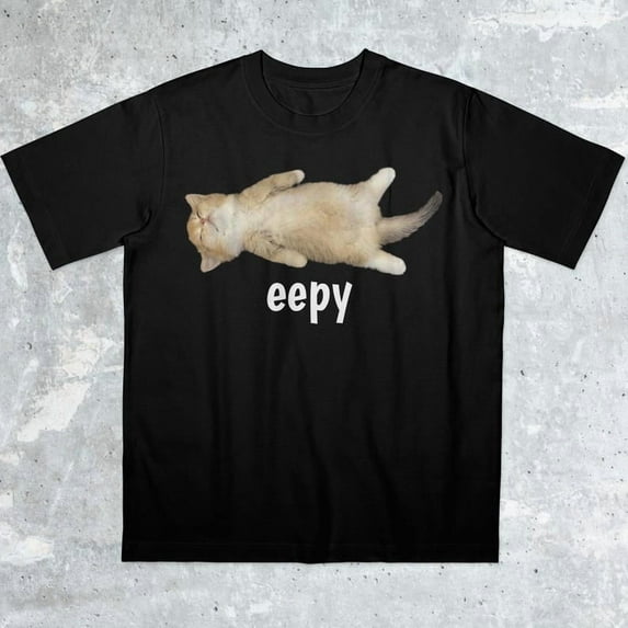 Eepy Cat, Silly Sleepy Cat Unhinged Sarcastic Humor Meme T-Shirt ...