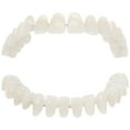 Eeristq 1 False Teeth Model Resin Teeth Mode Denture Model Teeth Model ...