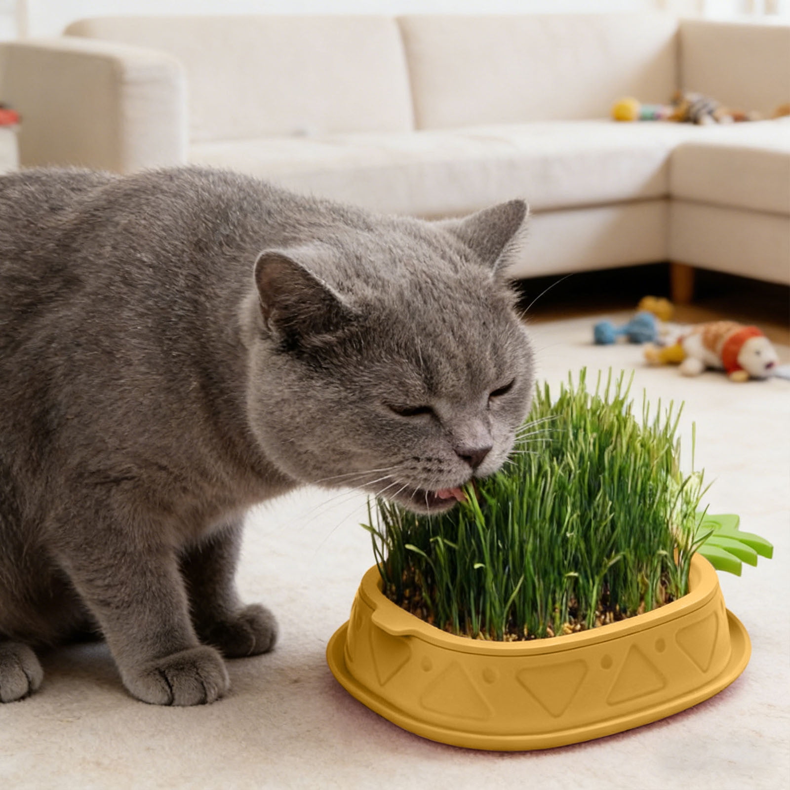 Eespoir Pineapple-Shaped Home Hydroponic Seeds Starter, Soils-Free ...