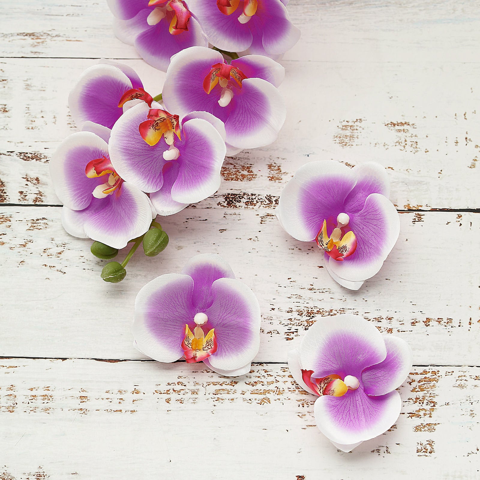Efavormart 20 PCS Flower Heads - 4" White/Purple Silk Orchids Head ...