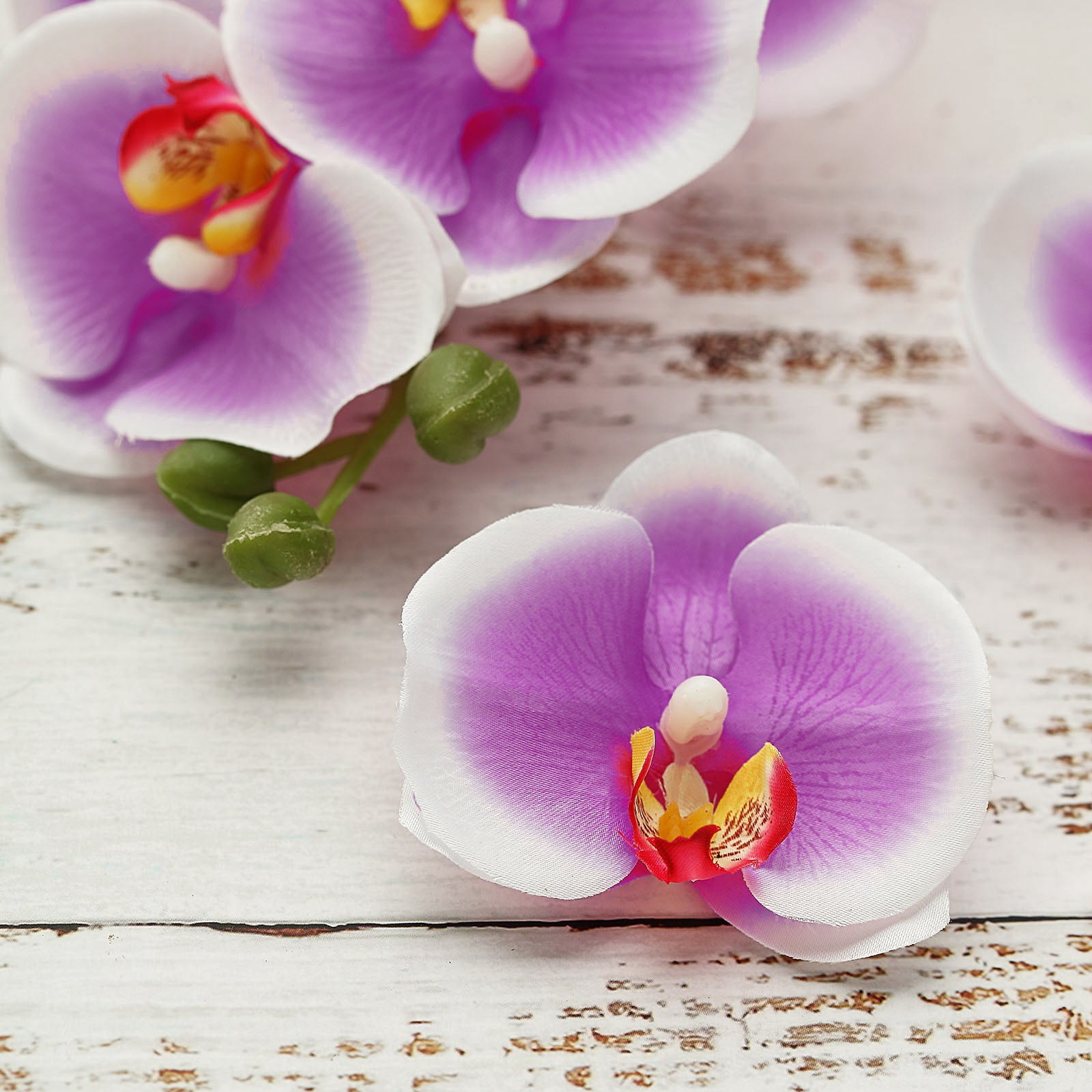Efavormart 20 PCS Flower Heads - 4" White/Purple Silk Orchids Head ...