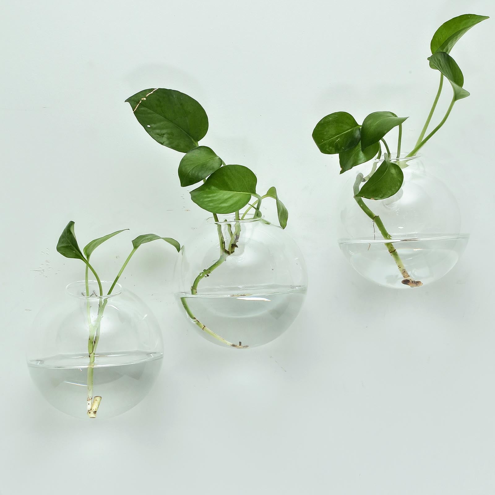 Efavormart 3 Pack Modish Round Shaped Glass Wall Vase Hanging Glass ...