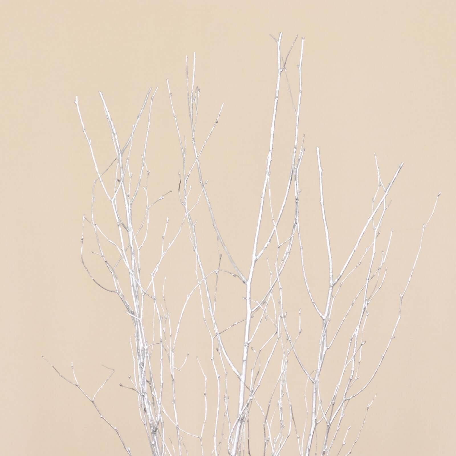 Efavormart 6 Pack Metallic Silver Decorative Birch Tree Branches, Extra ...