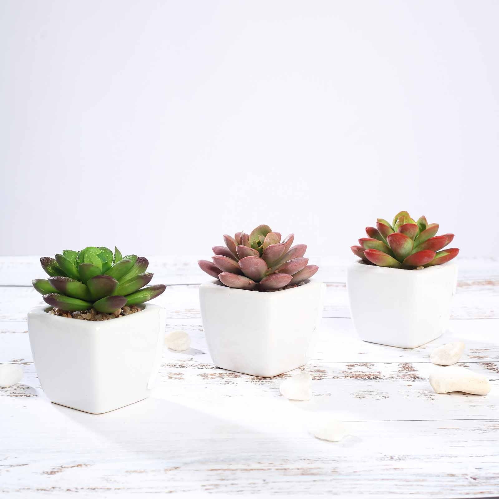 Efavormart Set of 3 | 3'' Assorted Mini Echeveria Artificial Faux ...