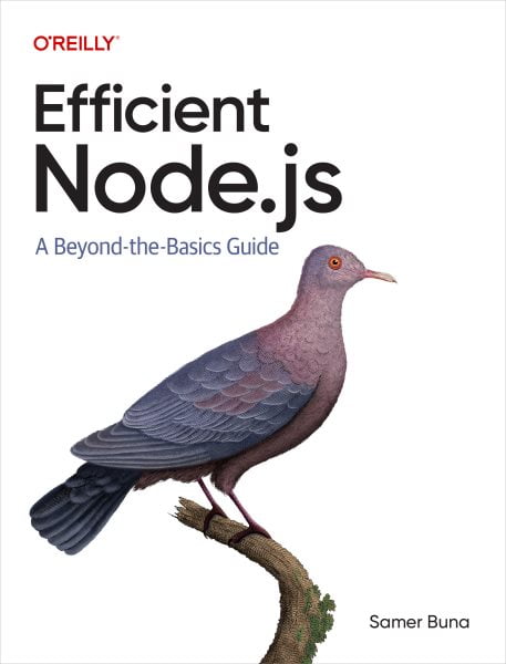 Samer Buna Efficient Node.js (Paperback) - Walmart.com