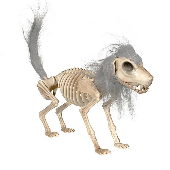 Efficient Plastic Halloween Dog Skeleton With Realistic Detail Perfect ...