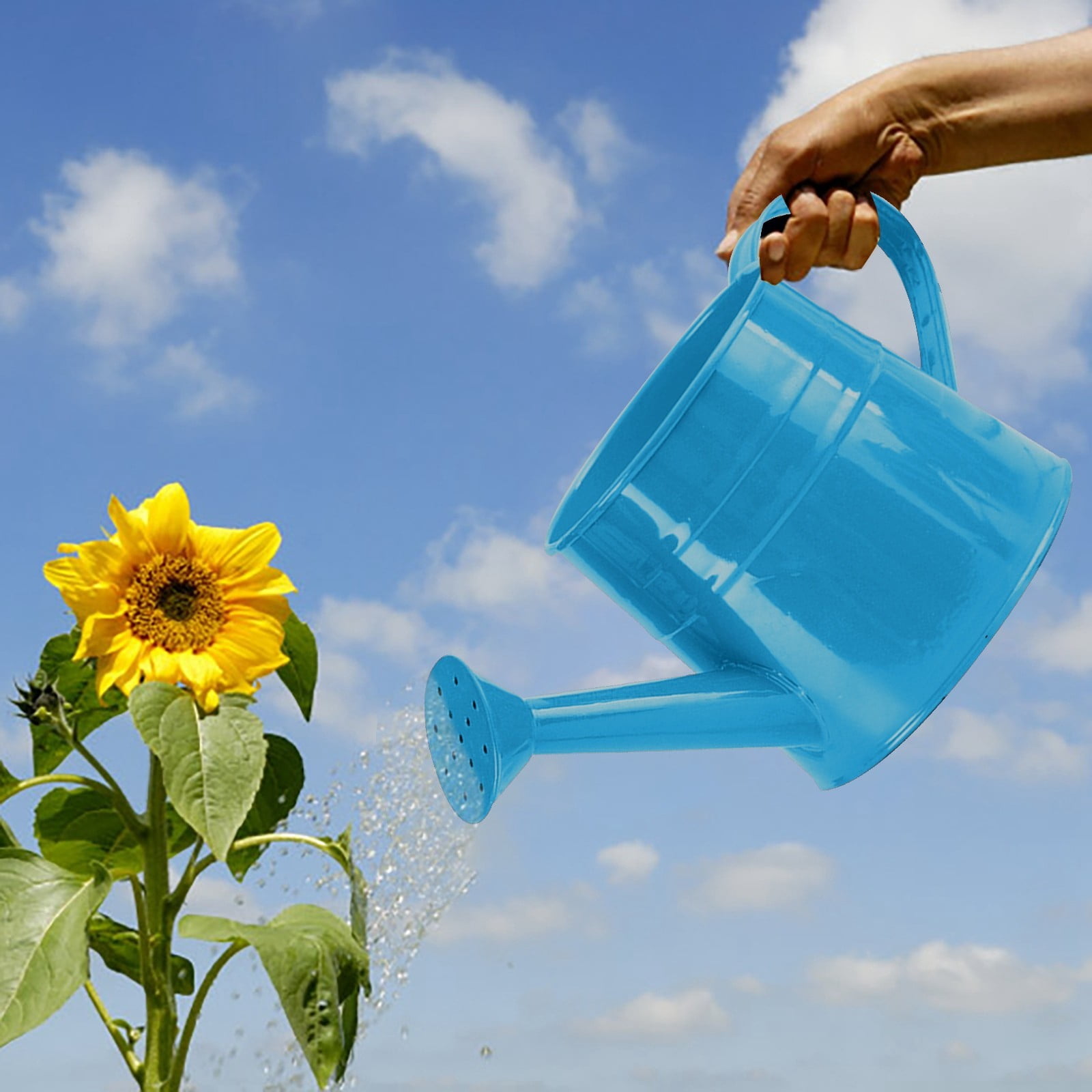 Effortless Watering Cans for Indoor and Outdoor Gardening - Modern ...