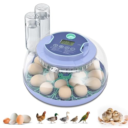 EgG iNCUBATOR FOR hATCHING cHICKS, aUTOMATIC eGG tURNER hOLDS 18 eGGS ...