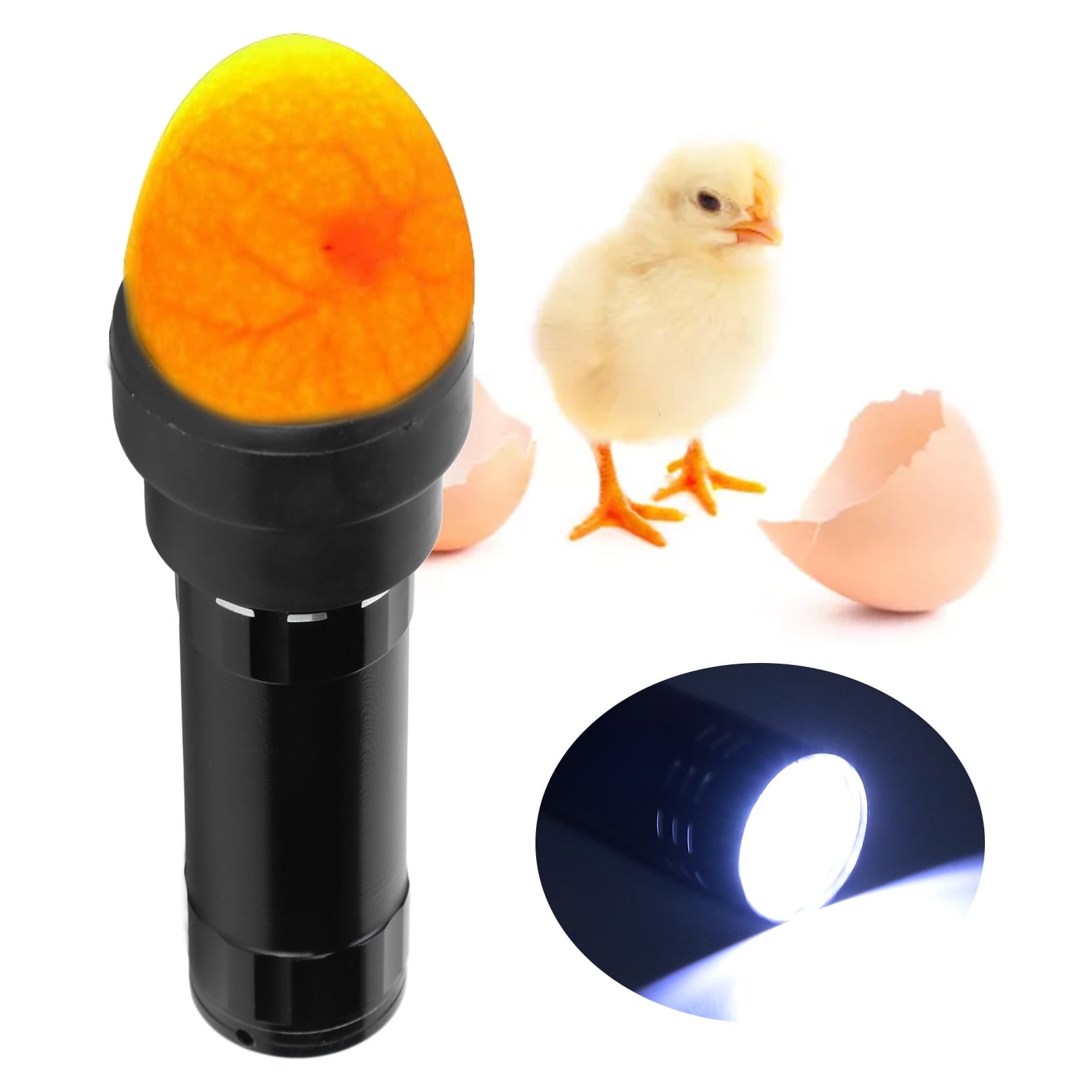 Egg Candler Tester, 9 Lamp Bright Cool LED Light Candling Lamp for All ...
