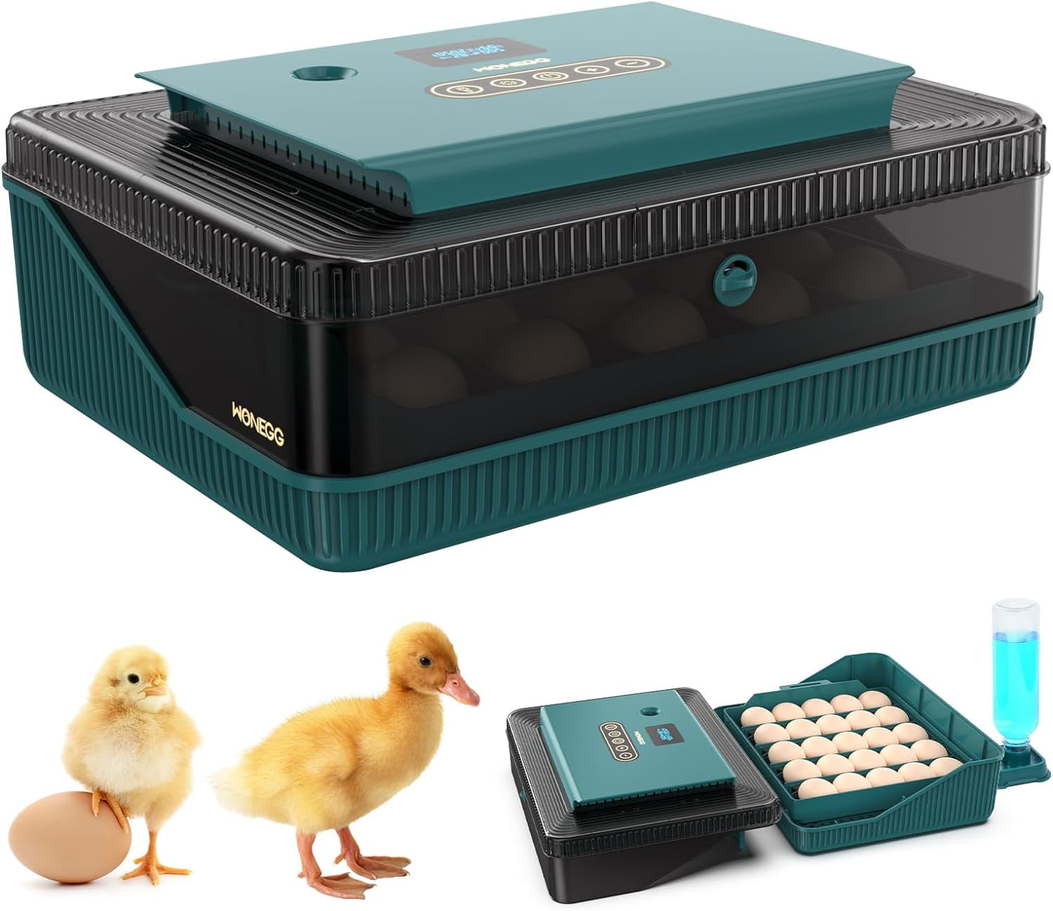 Egg Incubator, 25 Eggs Automatic Chicken Incubator with Automatic Egg ...
