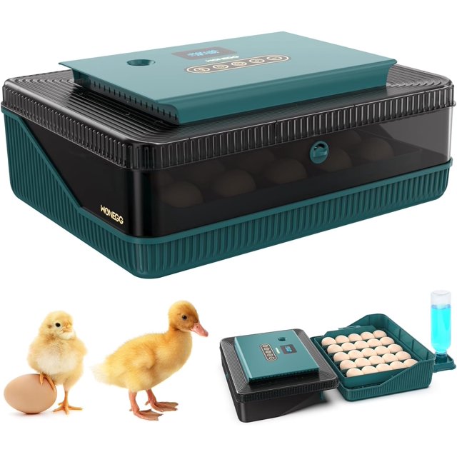 Egg Incubator, 25 Eggs Automatic Chicken Incubator with Automatic Egg Turning, Poultry Hatching ...