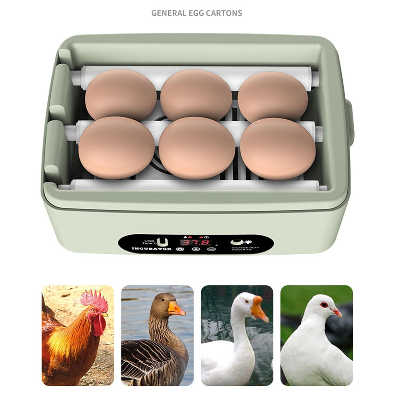 Egg Incubator, 6 Eggs Hatcher Poultry Hatching Machine Manual Egg Turning and Temperature ...