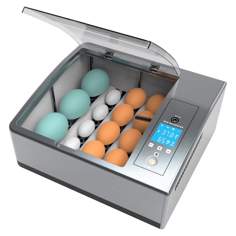 Egg Incubator with Automatic Egg Turning and Temperature Control Digital Display 16 Eggs Mini ...