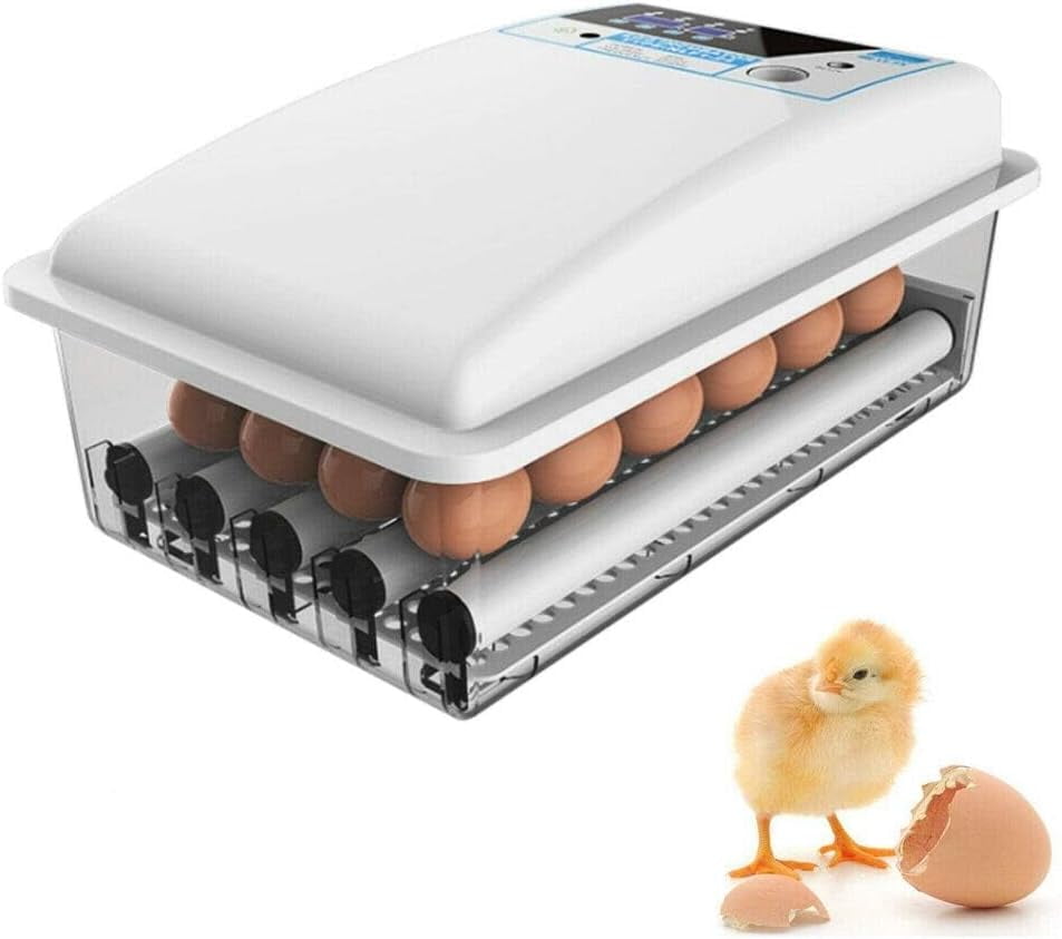 Egg Incubator，Automatic Egg Turning Eggs Incubator Quail，Visible 24 ...