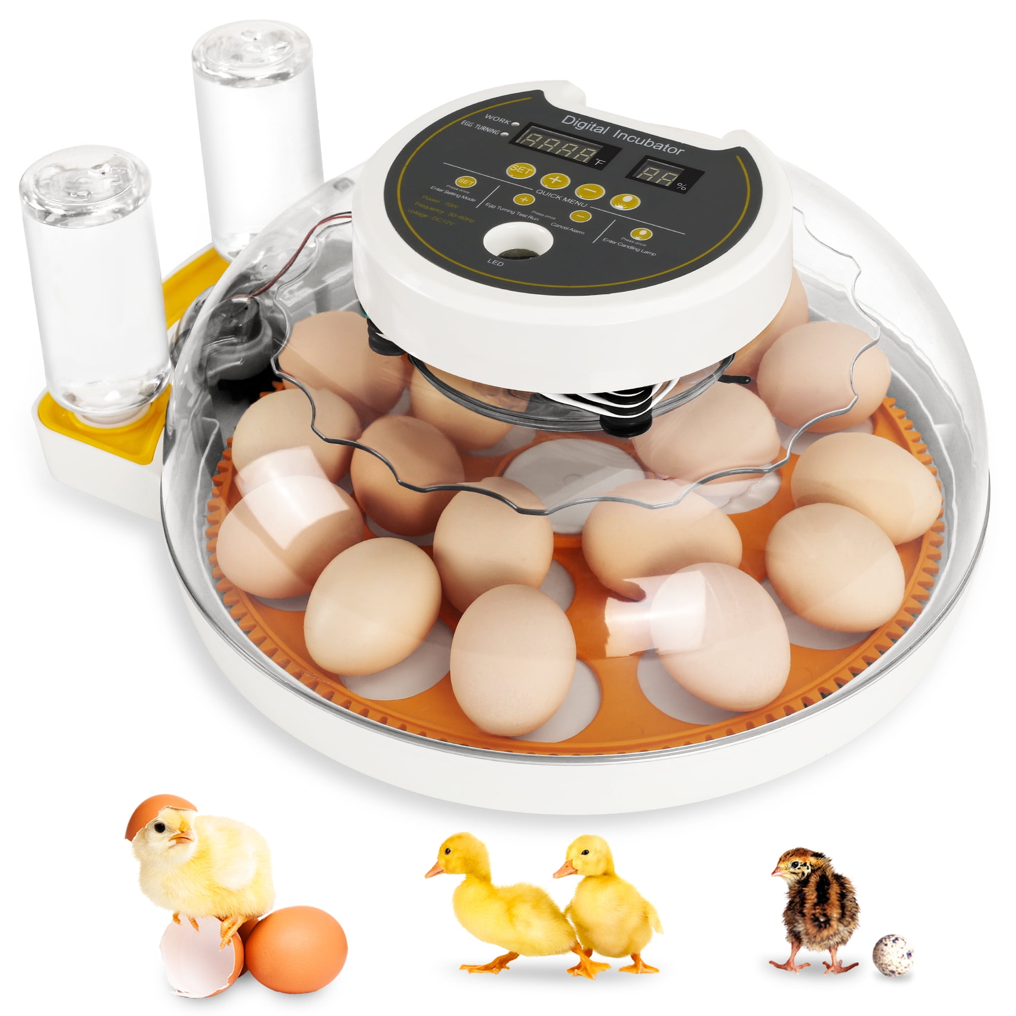 Egg Incubator for Chicken Eggs 18 Eggs Incubators for Hatching Eggs ...