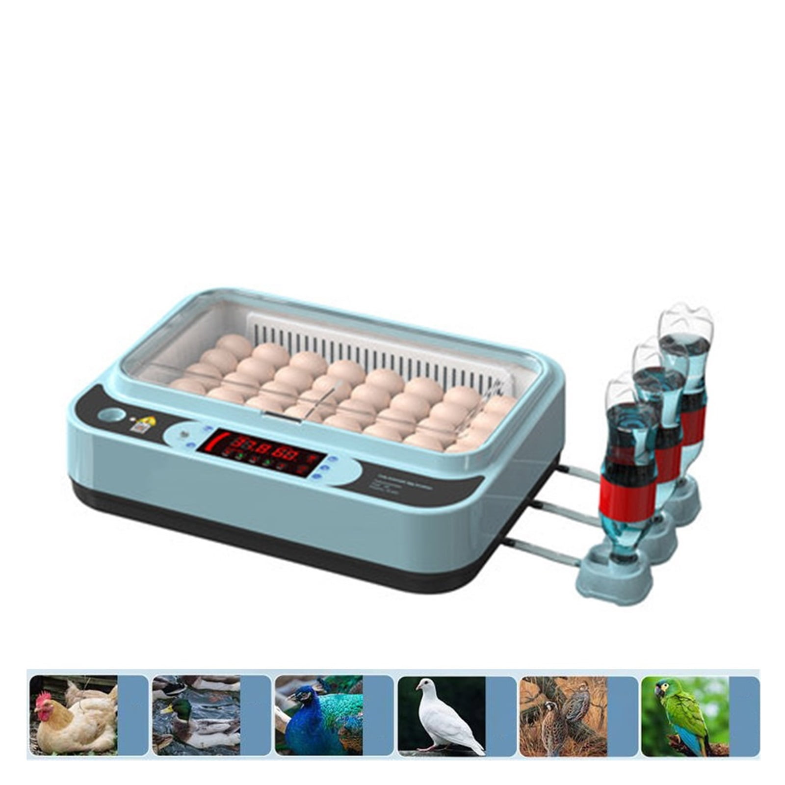 Egg Incubator Full Automatic Eggs Hatcher Brooder Bird Quail Chick Hatchery Incubator 64 Pcs ...