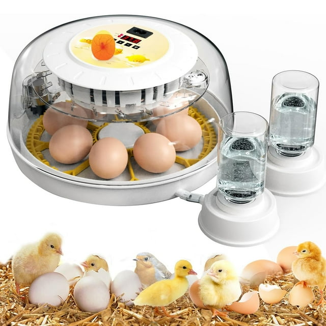 MQ Egg Incubator Automatic Turner 8-16 Fertile Chicken - Walmart.com