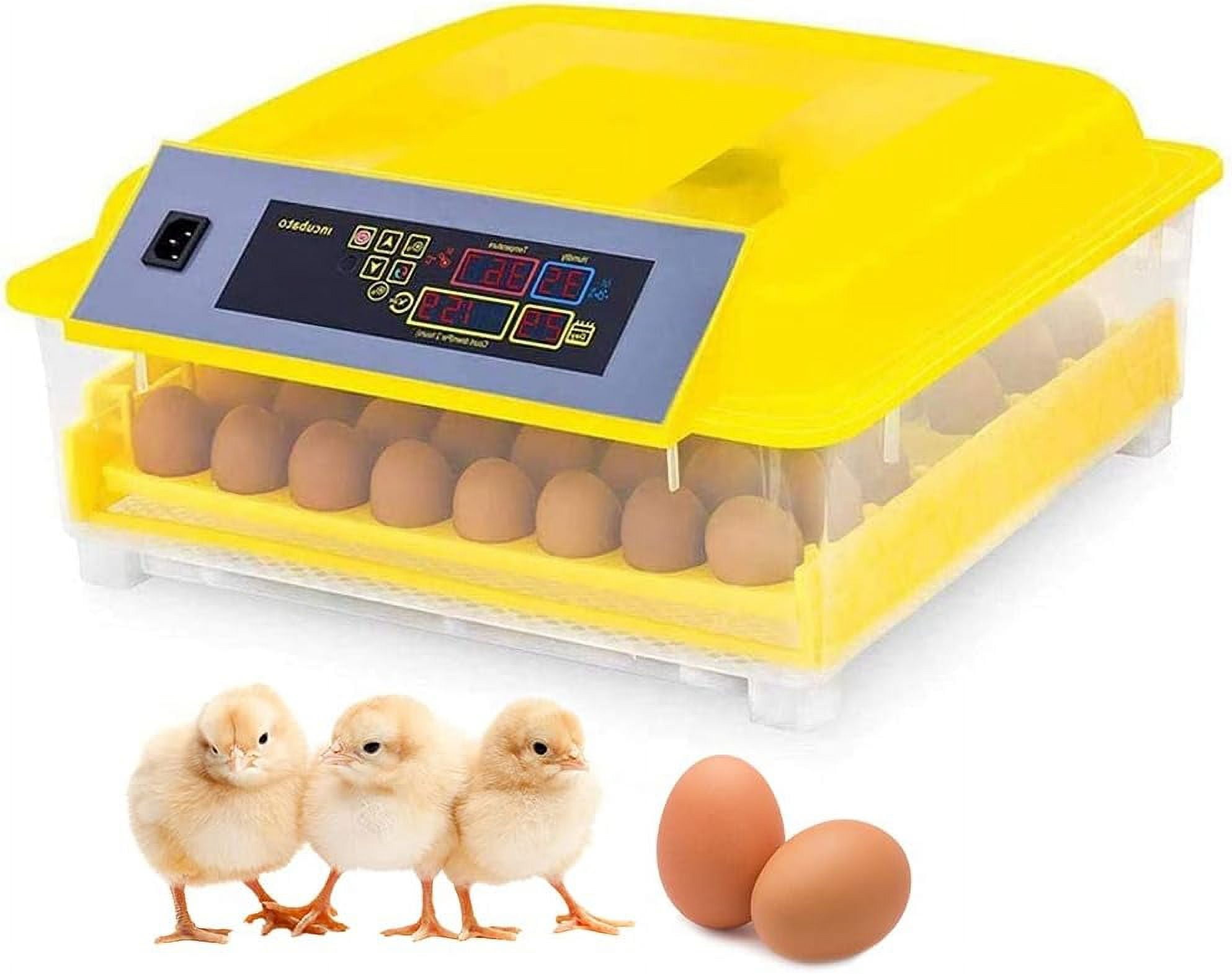 Automatic Turner Egg Incubator, Hatches 48 Chicken, Duck, Goose, Quail ...