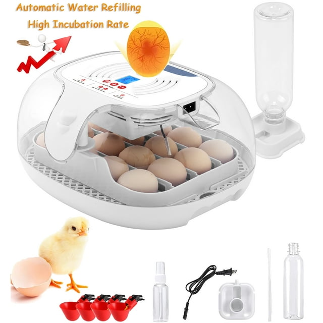 Egg Incubator, Incubating 16-35 Eggs, with Automatic Turning, LED Screen Temperature Control ...