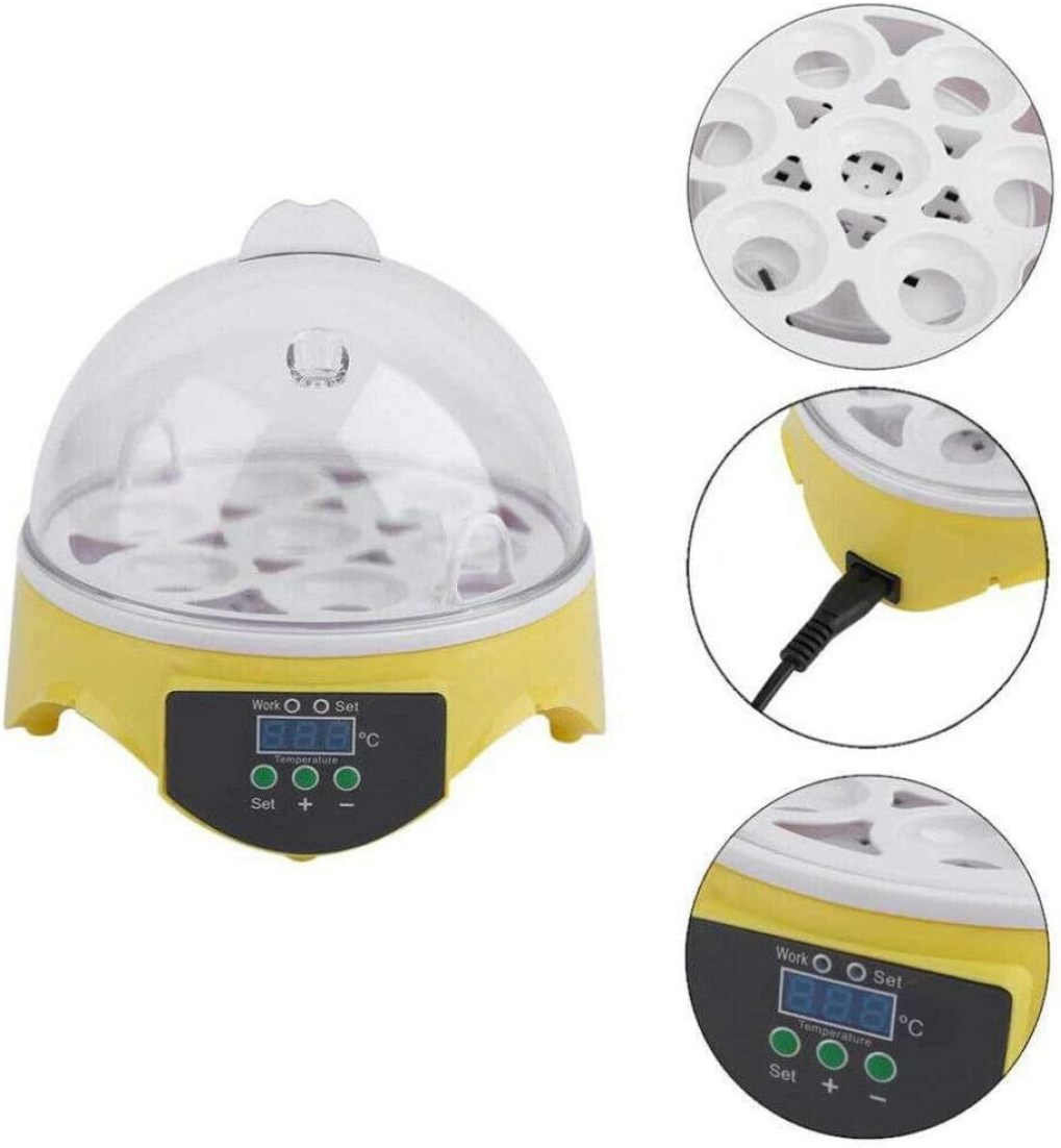 Egg Incubator,Temperature Control Egg Incubators Mini Automatic Turning ...
