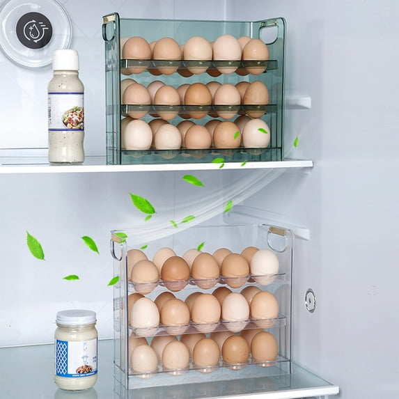Egg Storage Container1PC,Refrigerator Door Organizer10.24x8.46x3.94in ...