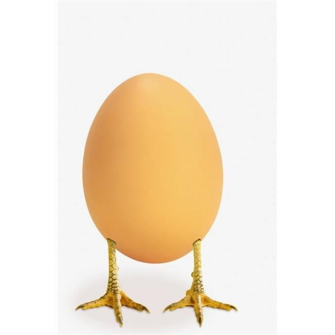 Egg with Bird Legs - British Columbia Canada Poster Print, 12 x 19 ...