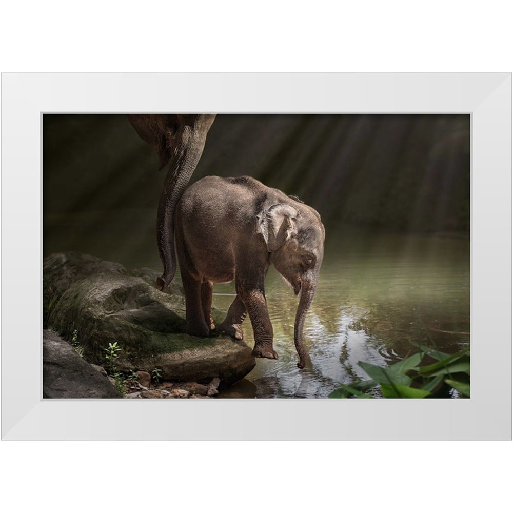 Egger, Marcel 24x17 White Modern Wood Framed Museum Art Print Titled - Braveelephant - Walmart.com