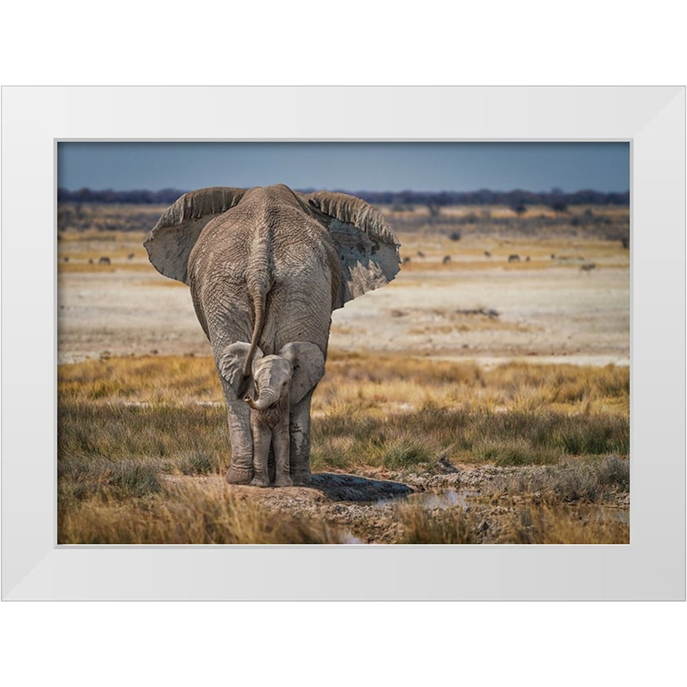 Egger, Marcel 32x24 White Modern Wood Framed Museum Art Print Titled - BabyElephant - Walmart.com