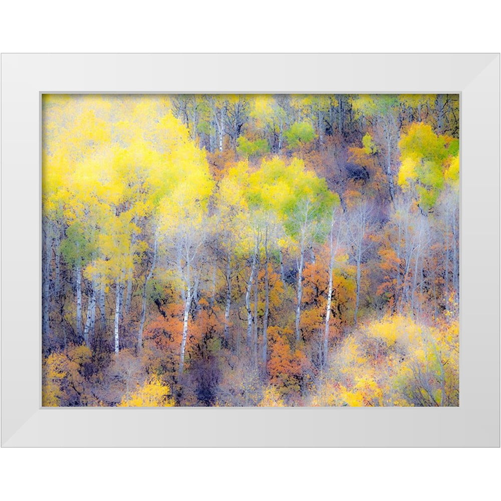 Eggers, Julie 18x15 White Modern Wood Framed Museum Art Print Titled ...