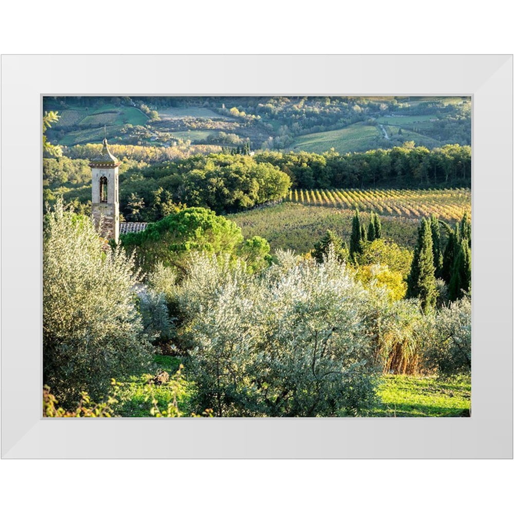 Eggers, Julie 18x15 White Modern Wood Framed Museum Art Print Titled ...