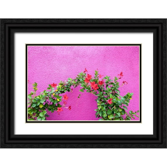 Eggers, Julie 24x17 Black Ornate Wood Framed with Double Matting Museum ...