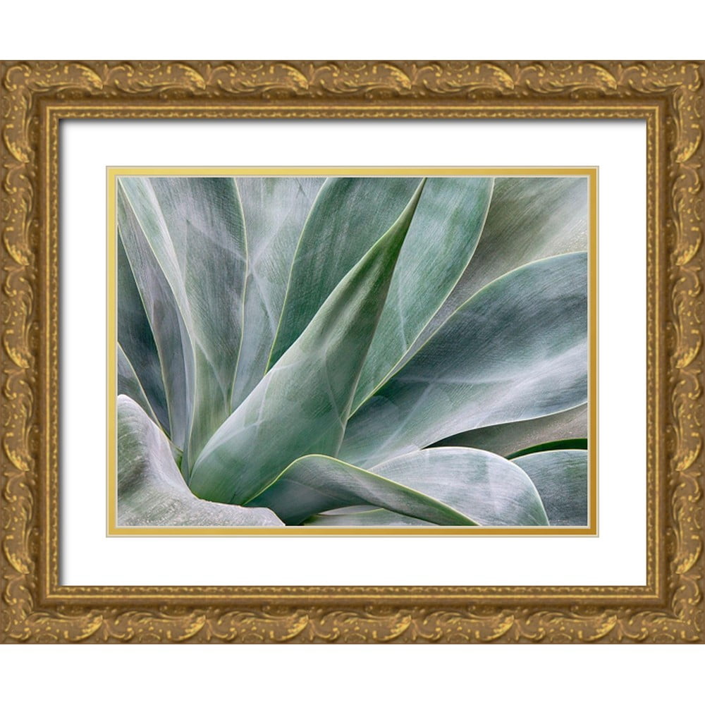 Eggers, Julie 24x19 Gold Ornate Wood Framed with Double Matting Museum ...