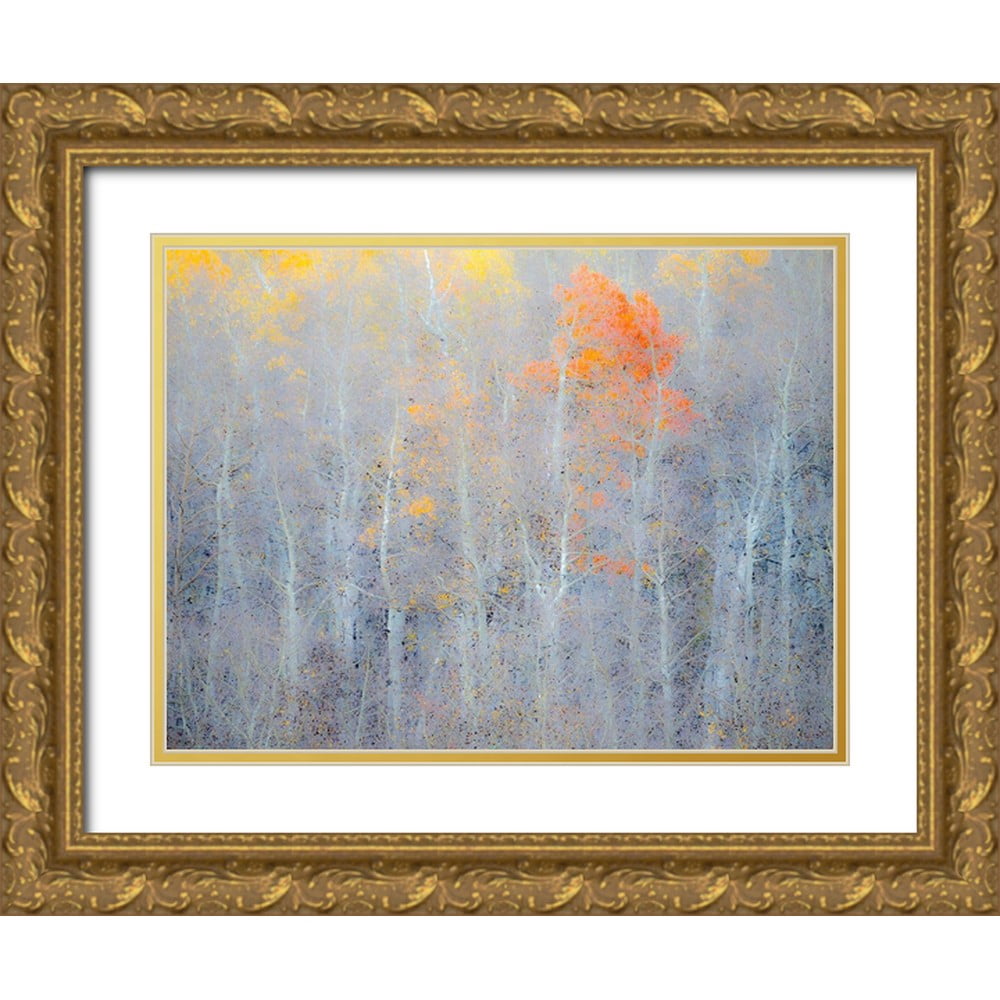 Eggers, Julie 32x25 Gold Ornate Wood Framed with Double Matting Museum ...