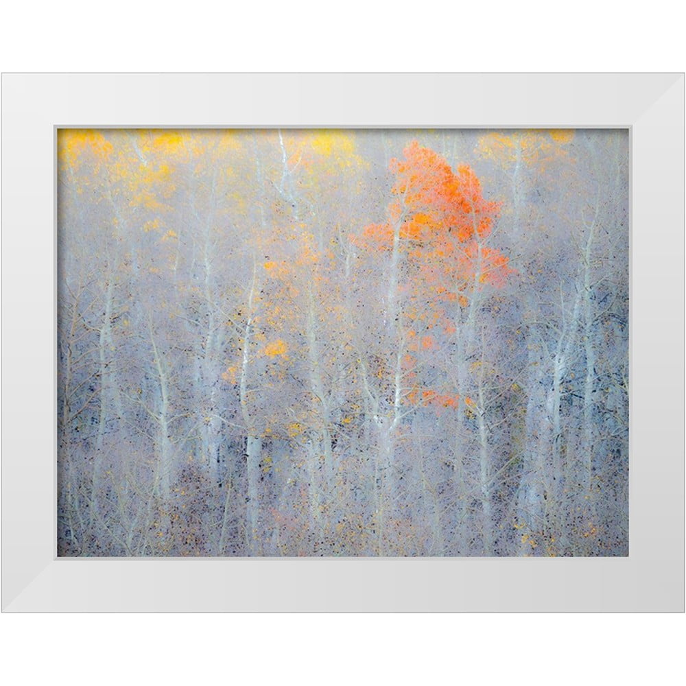 Eggers, Julie 32x25 White Modern Wood Framed Museum Art Print Titled ...