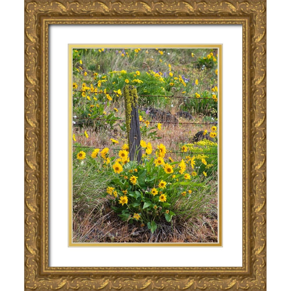 Eggers, Terry 11x14 Gold Ornate Wood Framed with Double Matting Museum ...