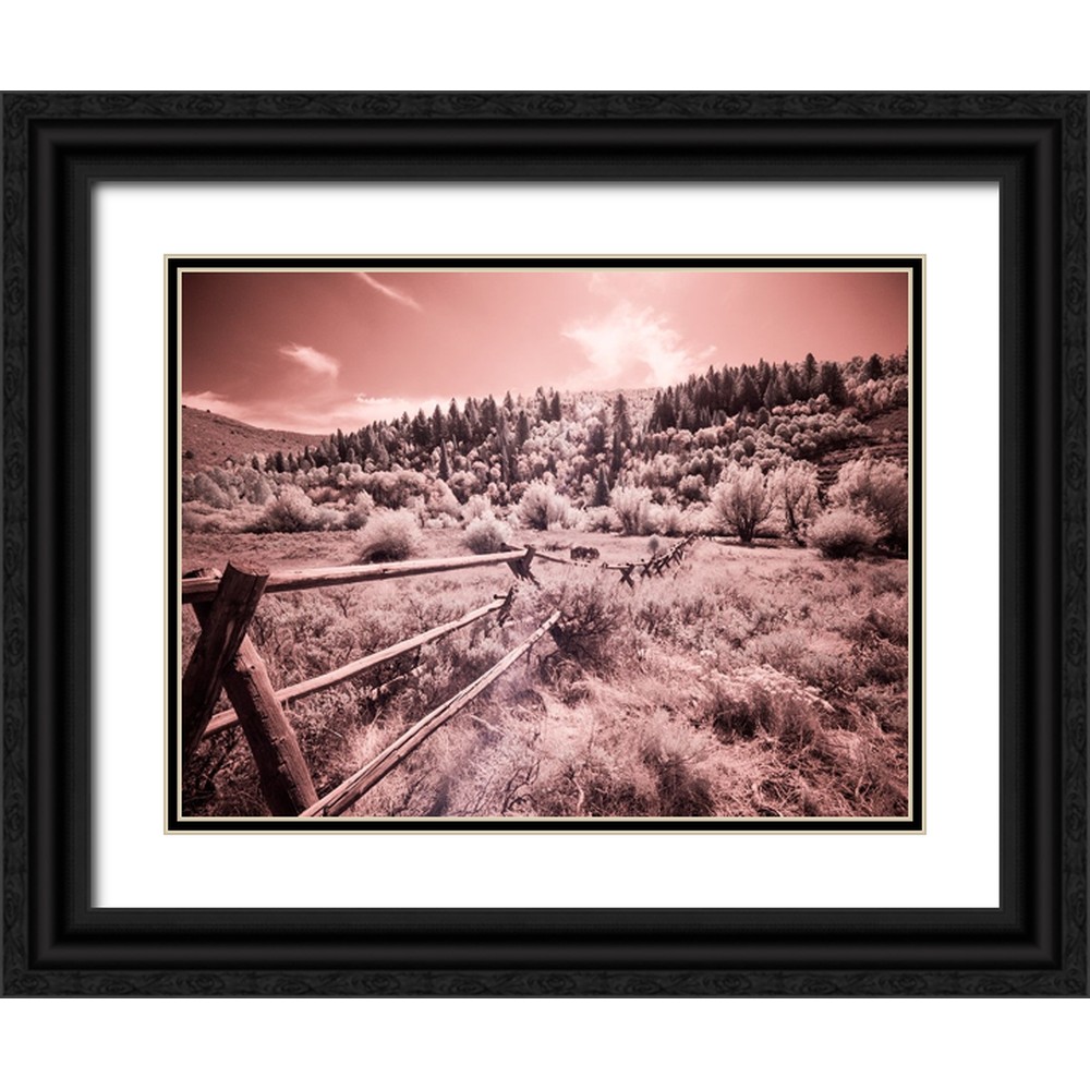 Eggers, Terry 14x12 Black Ornate Wood Framed with Double Matting Museum ...