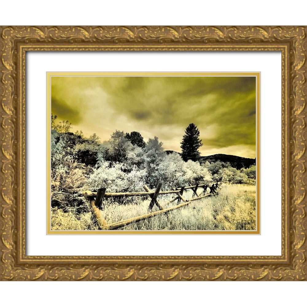 Eggers, Terry 14x12 Gold Ornate Wood Framed with Double Matting Museum ...