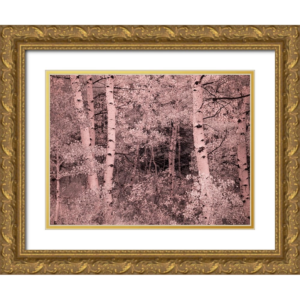 Eggers, Terry 14x12 Gold Ornate Wood Framed with Double Matting Museum ...