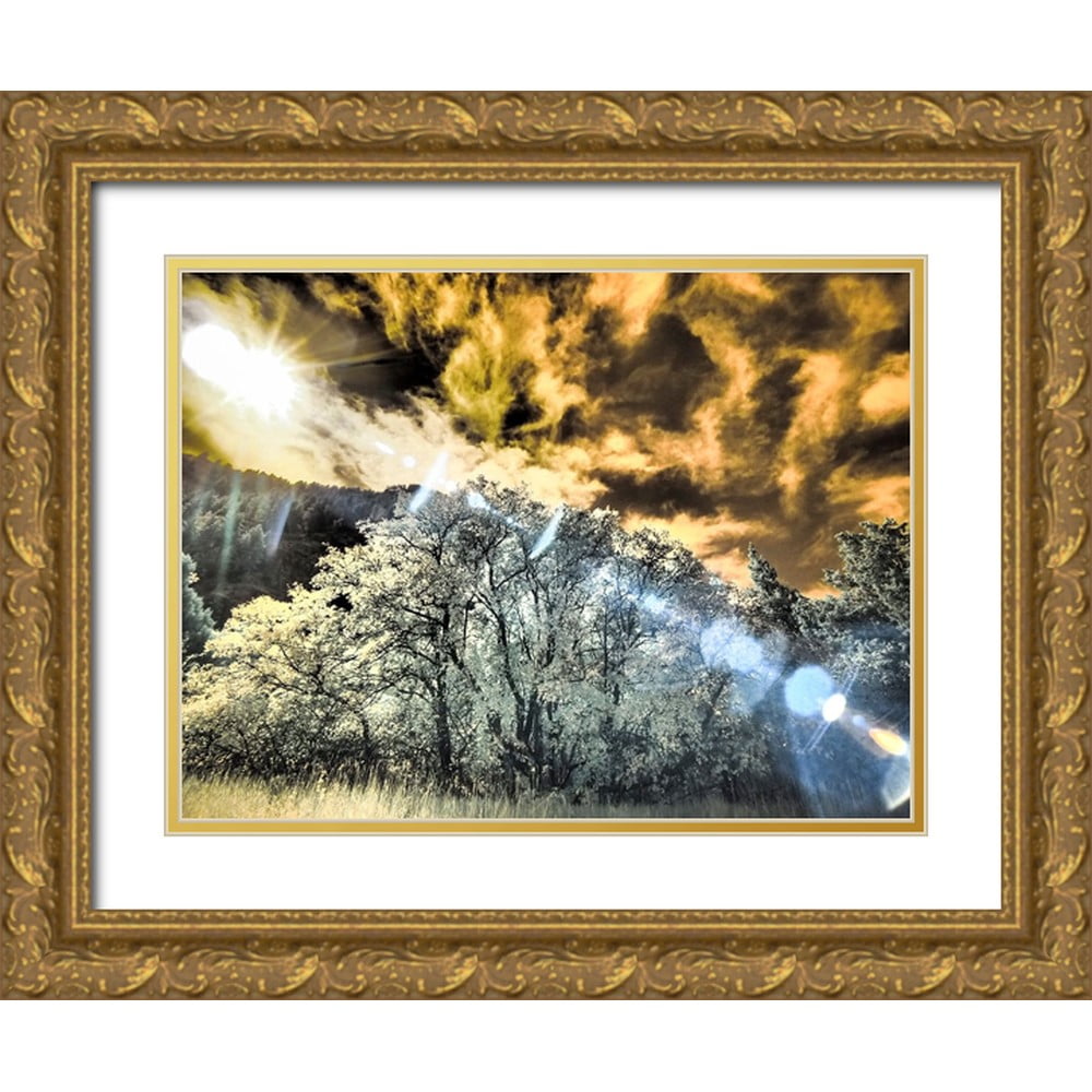 Eggers, Terry 14x12 Gold Ornate Wood Framed with Double Matting Museum ...