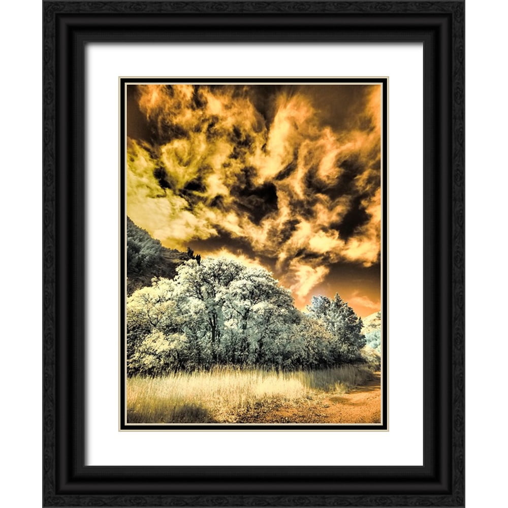 Eggers, Terry 15x18 Black Ornate Wood Framed with Double Matting Museum ...