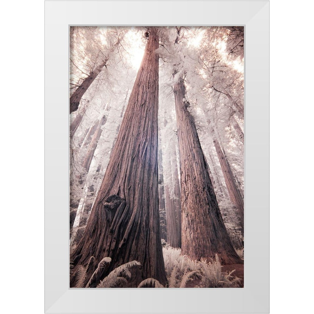 Eggers, Terry 17x24 White Modern Wood Framed Museum Art Print Titled ...