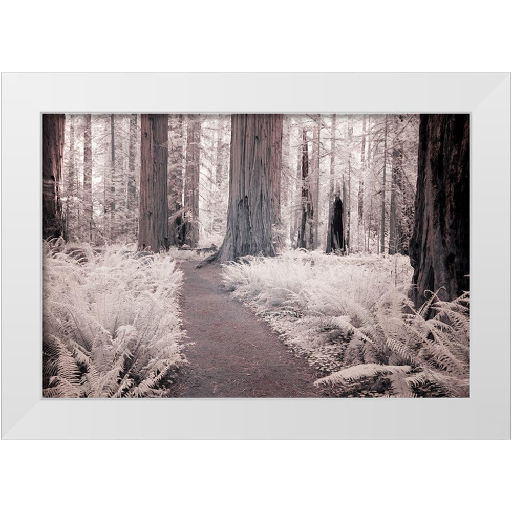 Eggers, Terry 18x13 White Modern Wood Framed Museum Art Print Titled ...